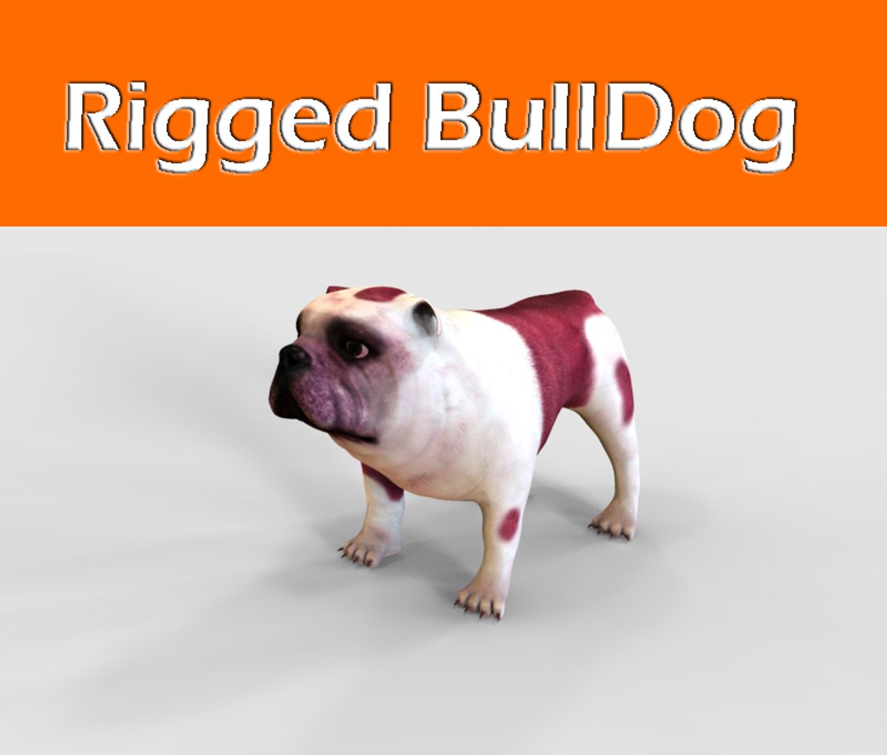 3d Model Of Bulldog Rigged