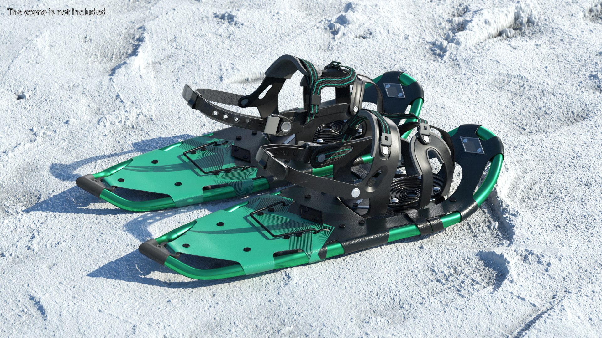 3D All Terrain Snow Shoes Green - TurboSquid 2146518