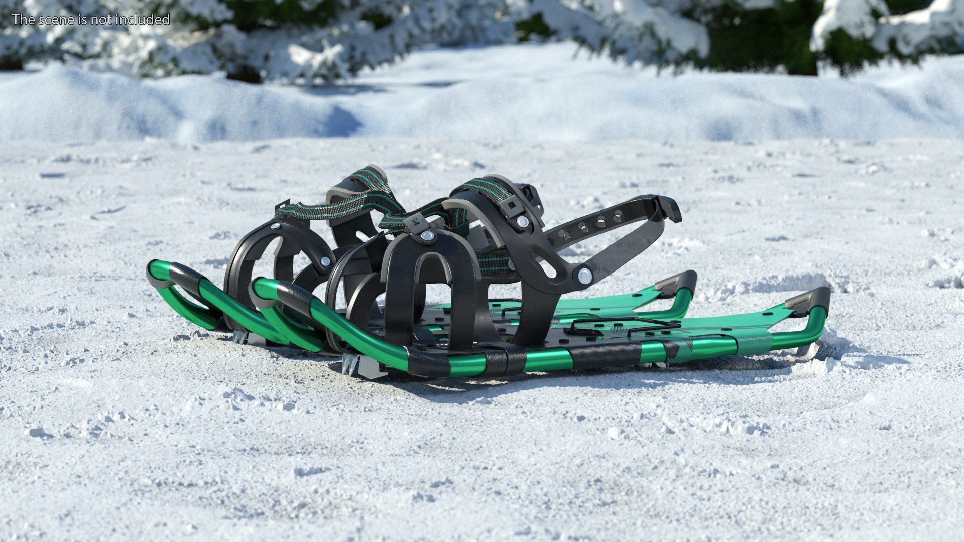 3D All Terrain Snow Shoes Green - TurboSquid 2146518