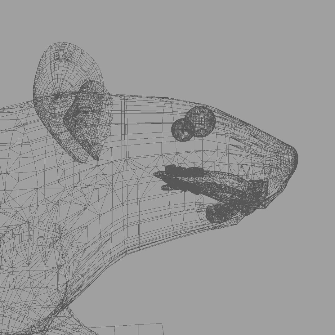 3d Model Of 3 Rats Animations