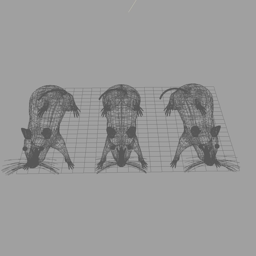 3d Model Of 3 Rats Animations