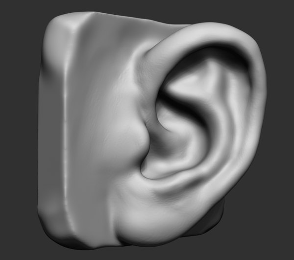 3ds realistic human ear printing