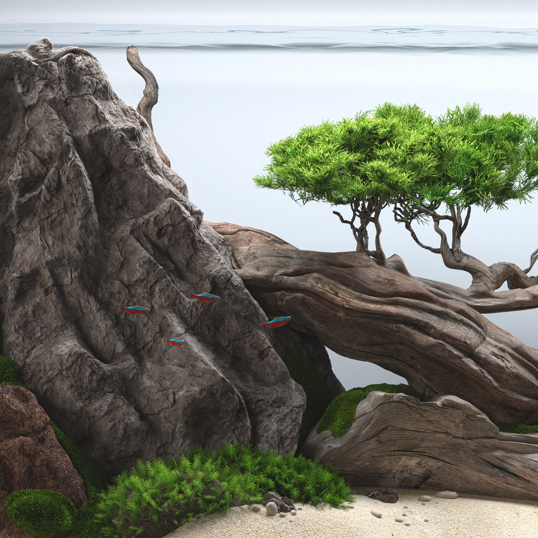 Aquascape Aquarium Nature 3D Model - TurboSquid 2348984