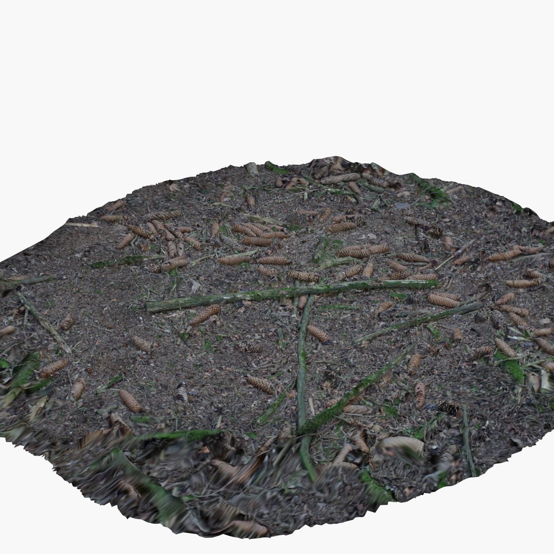 Free Realiscan Photogrammetry Sample Scan 3d Model