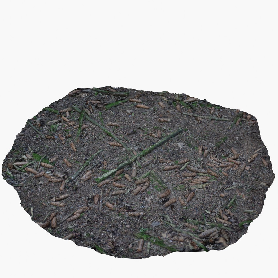 Free Realiscan Photogrammetry Sample Scan 3d Model