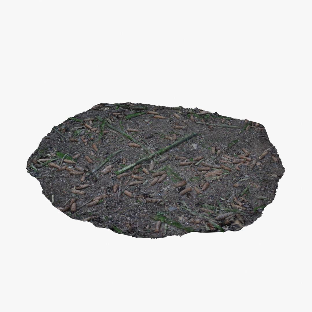 Free Realiscan Photogrammetry Sample Scan 3d Model