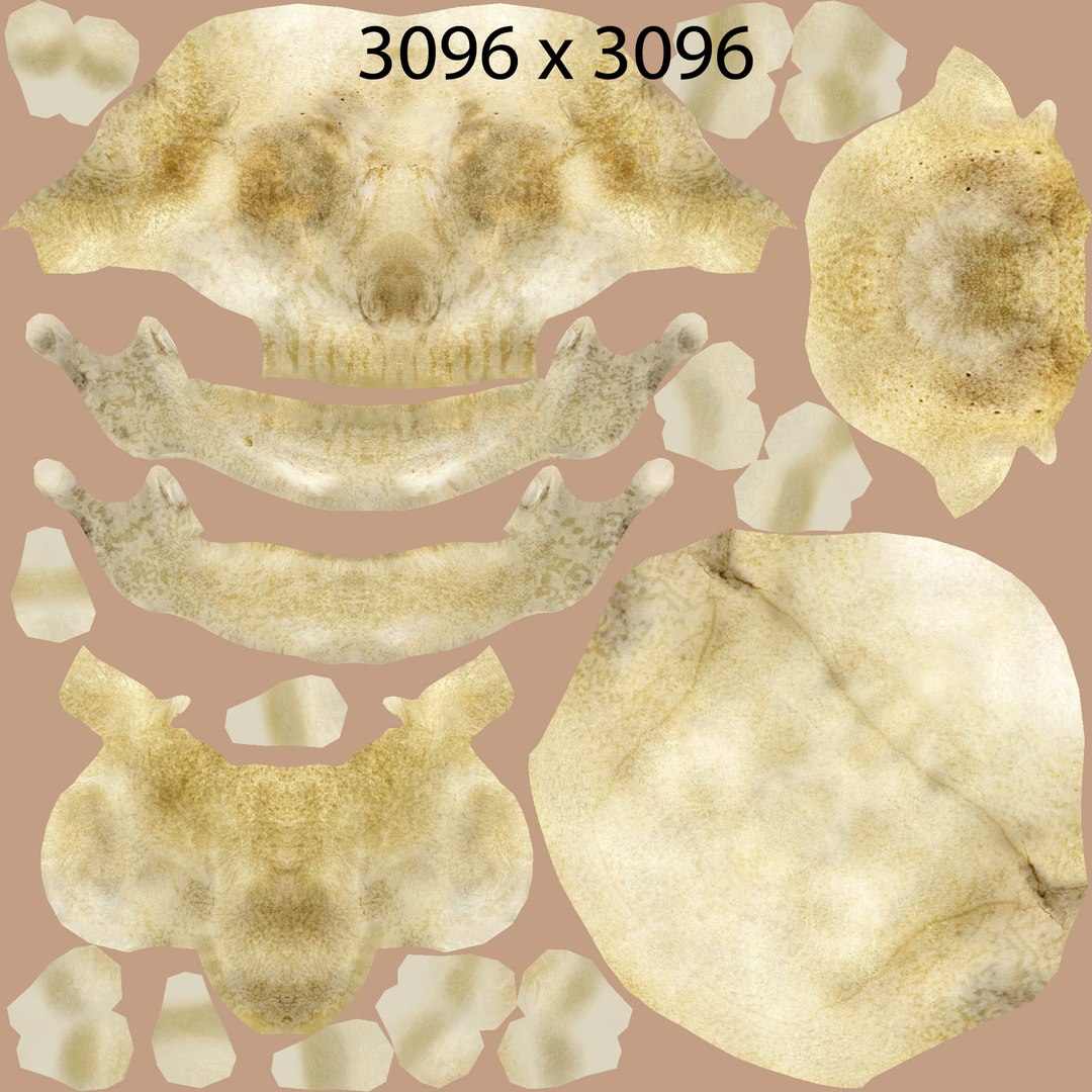 Maya Human Skeleton