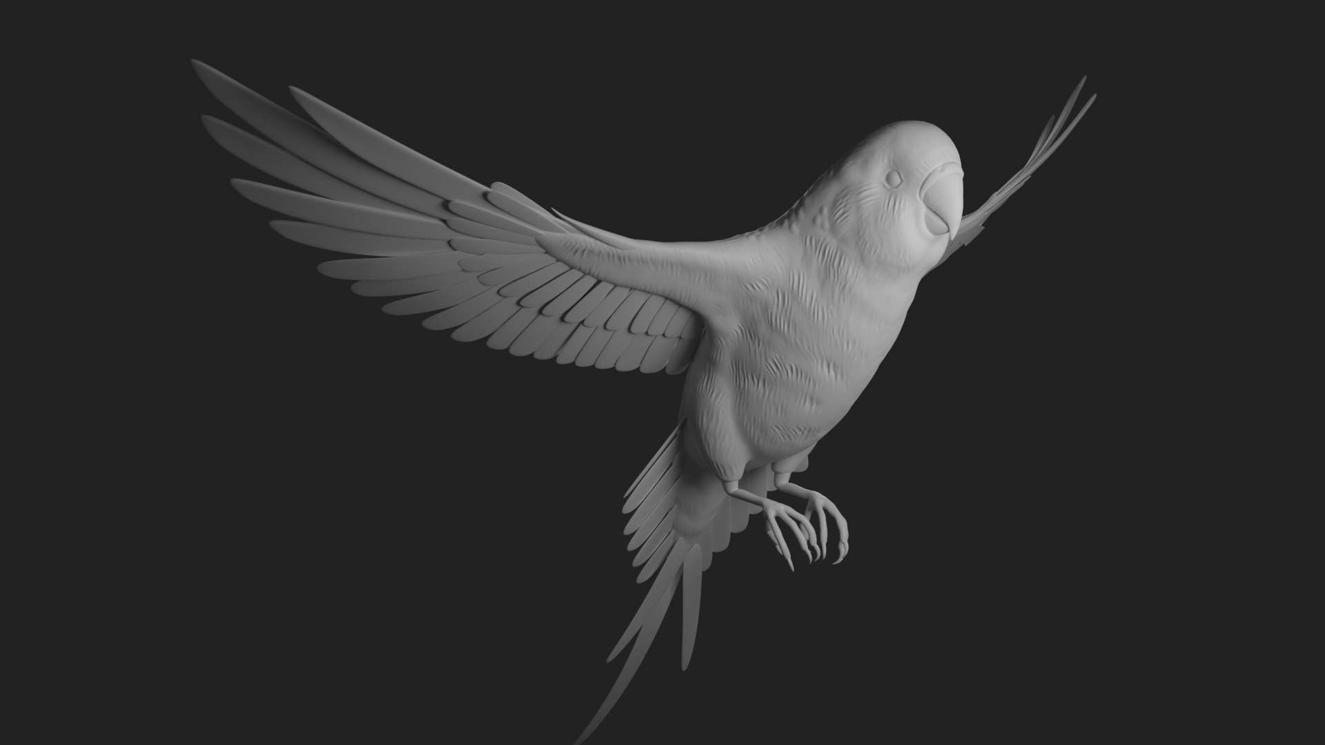 Parriot 3D Model - TurboSquid 2073826