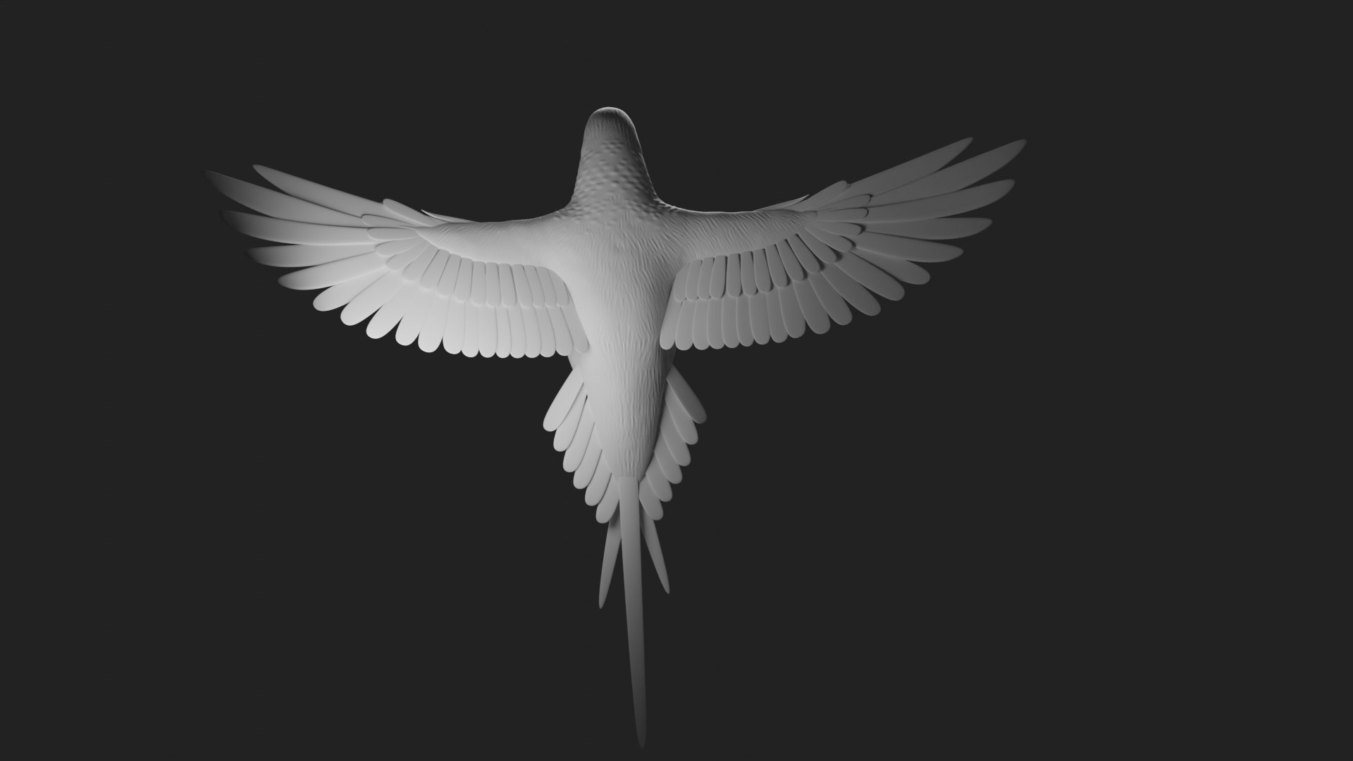 Parriot 3D Model - TurboSquid 2073826