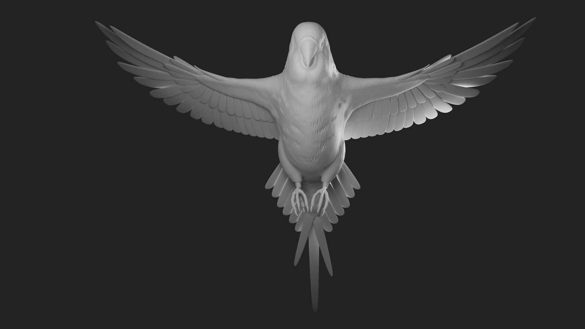 Parriot 3D model - TurboSquid 2073826