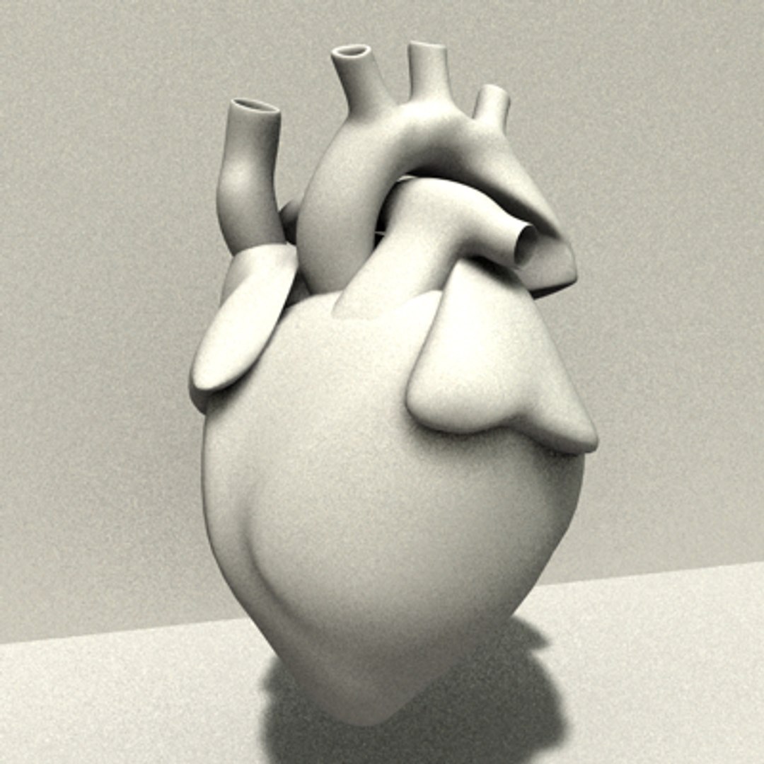 Heart 3d Model