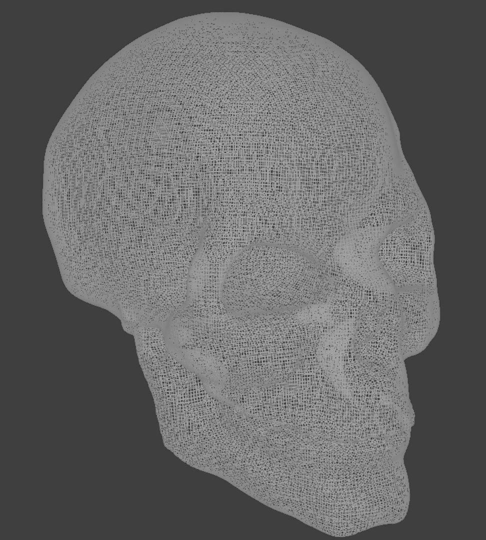 Human Skull - Low Poly Bake With UV Mapping Normal Map FBX PNG Model ...