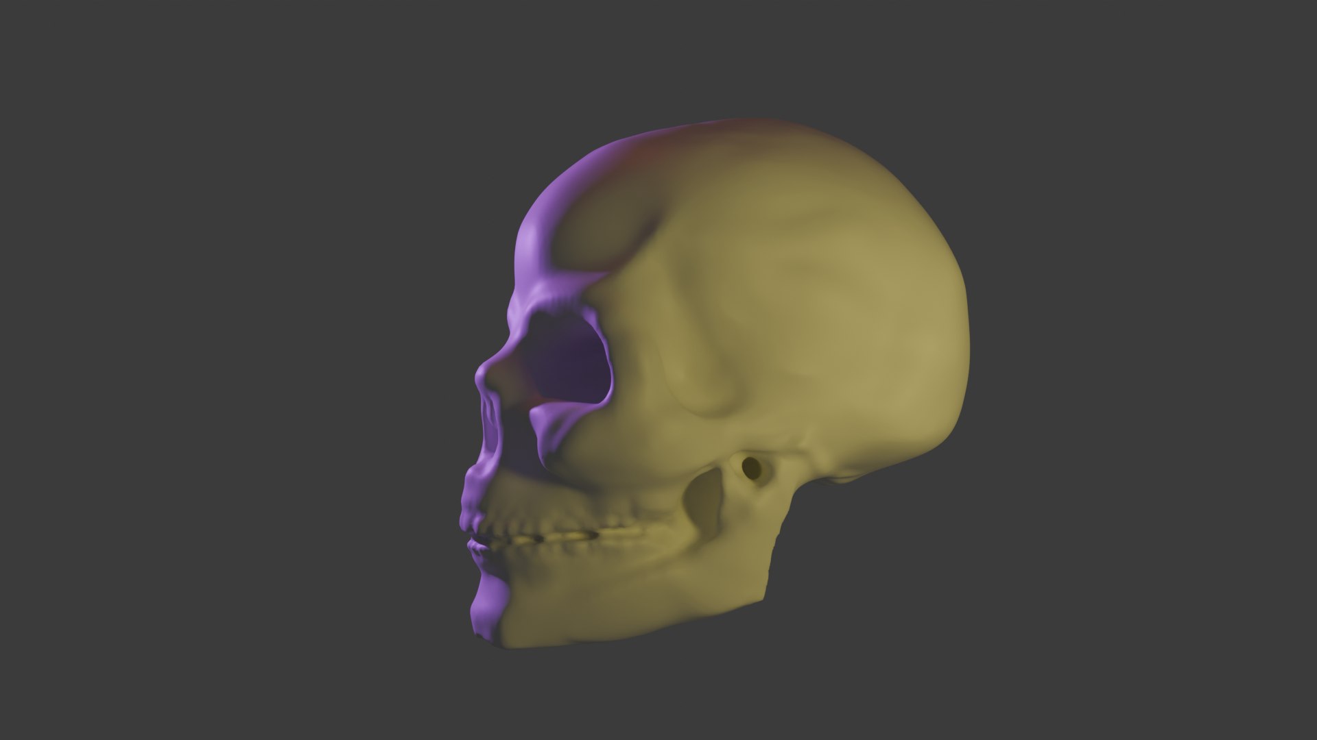 Human Skull - Low Poly Bake With UV Mapping Normal Map FBX PNG Model ...