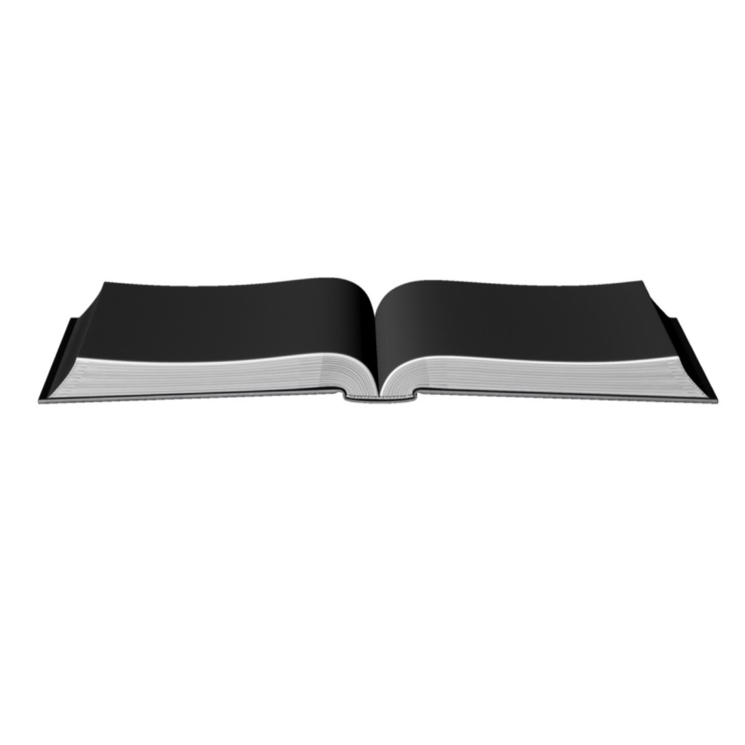 3d Opened Book Model
