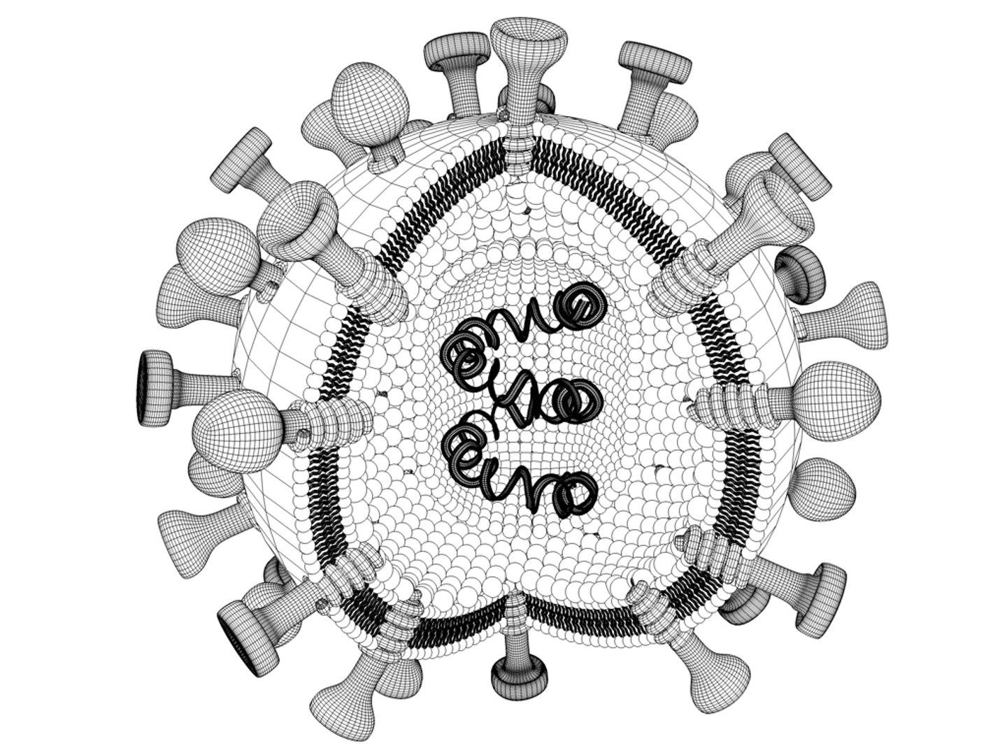 3d Model Virus Receptors Dna