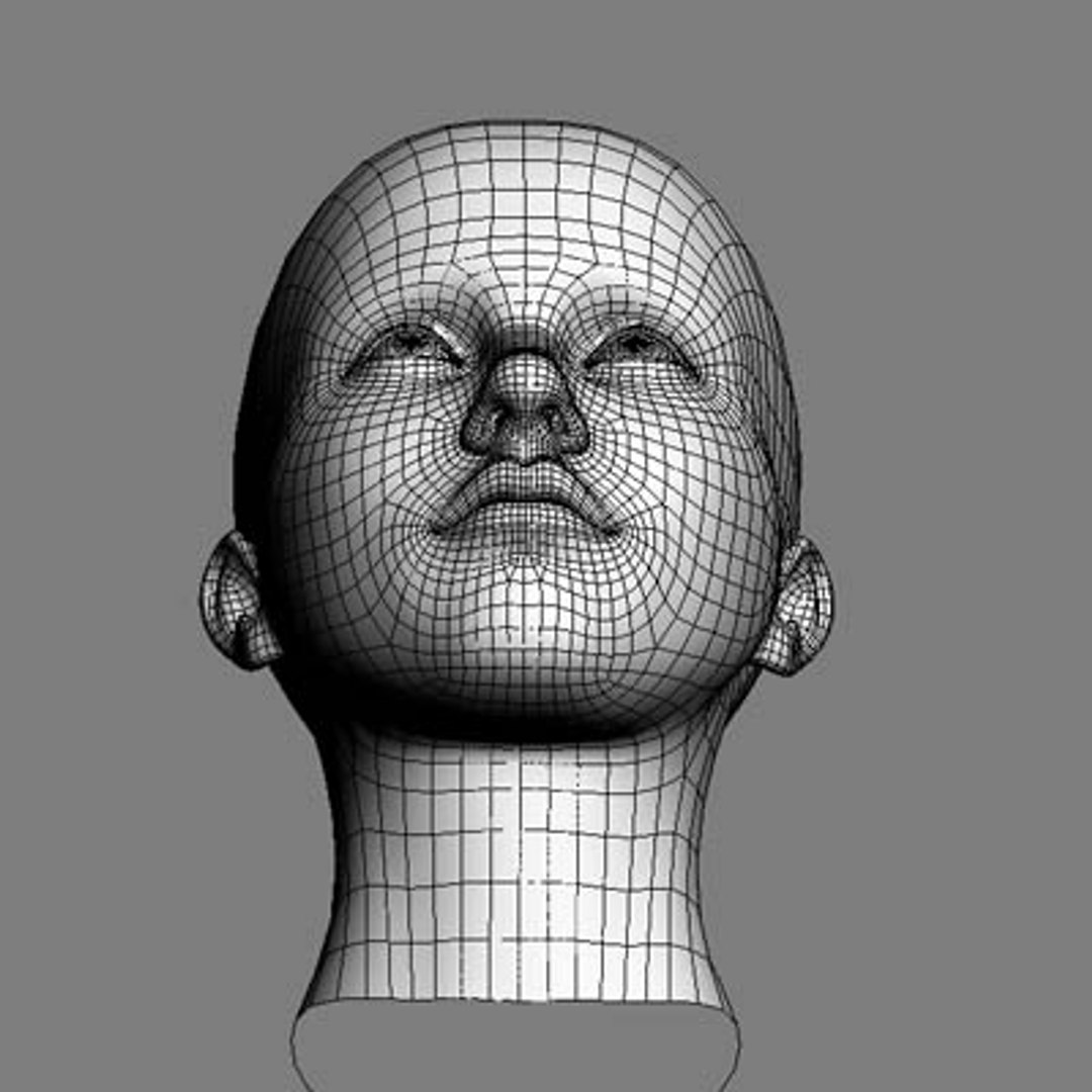 Anatomy Head 3d Model