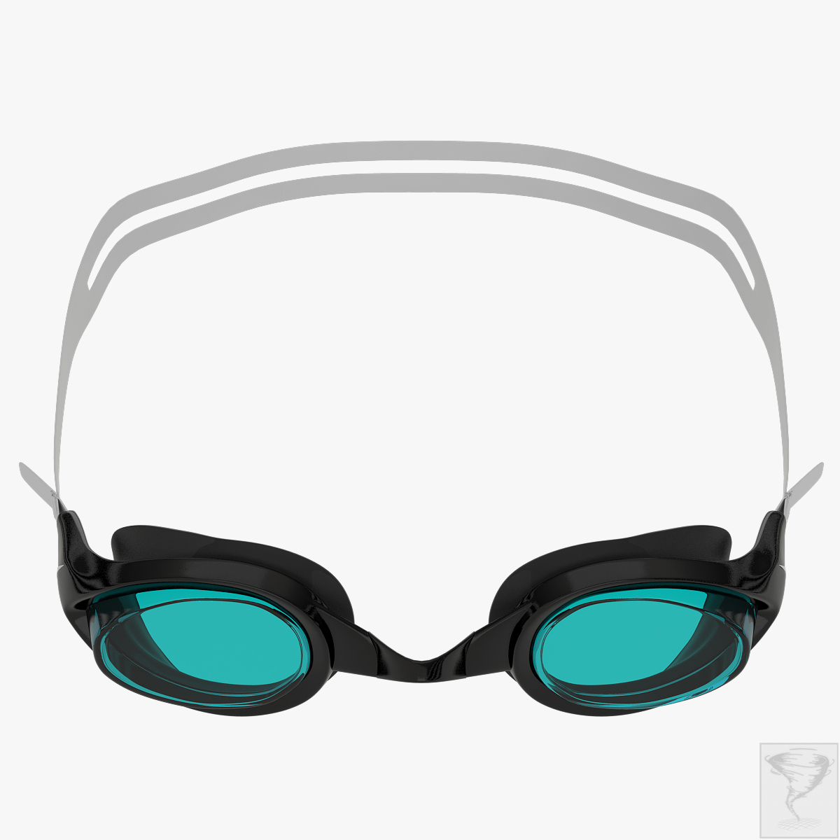 swimming goggles 3ds