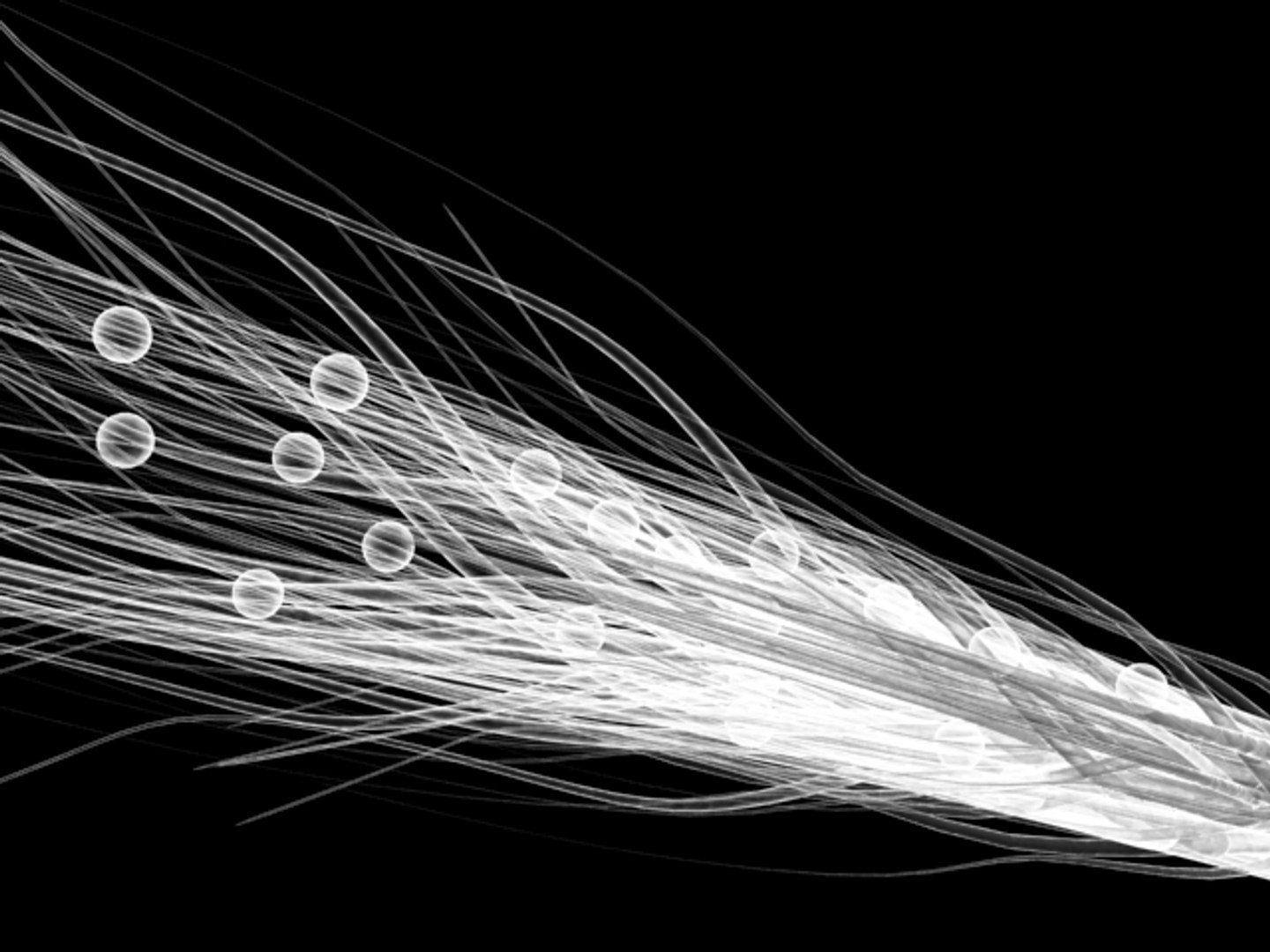 3ds Max Bone Cell Matrix