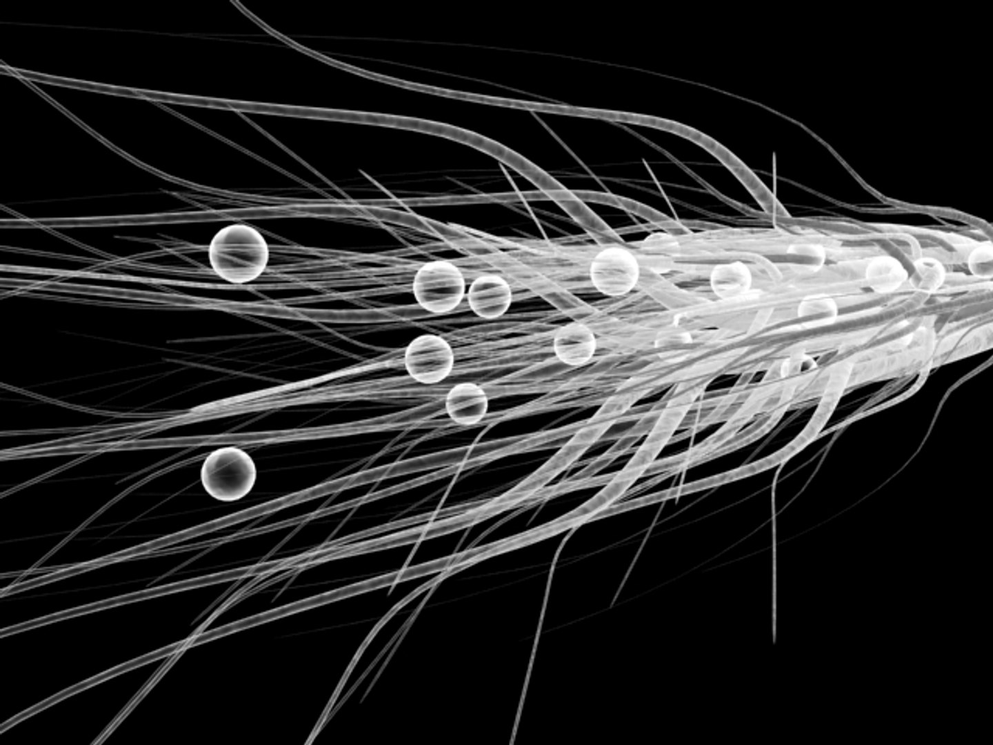 3ds Max Bone Cell Matrix