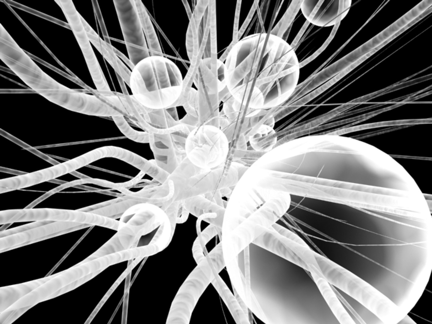 3ds Max Bone Cell Matrix