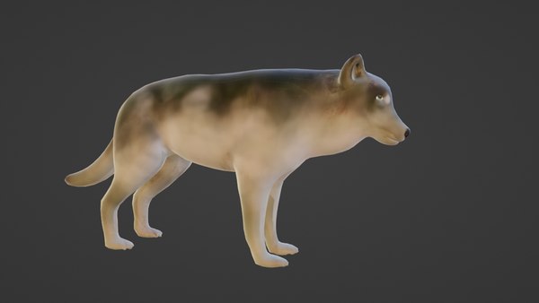 modelo 3d lobo - TurboSquid 2222309