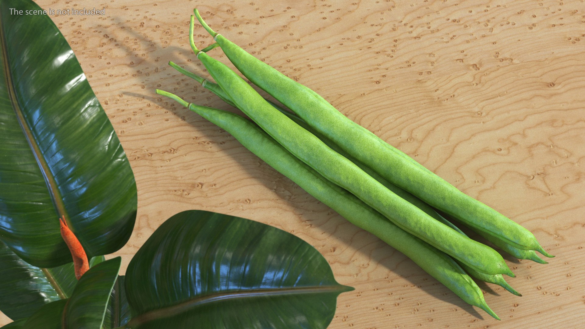 Green French Beans 3D Model - TurboSquid 2004699