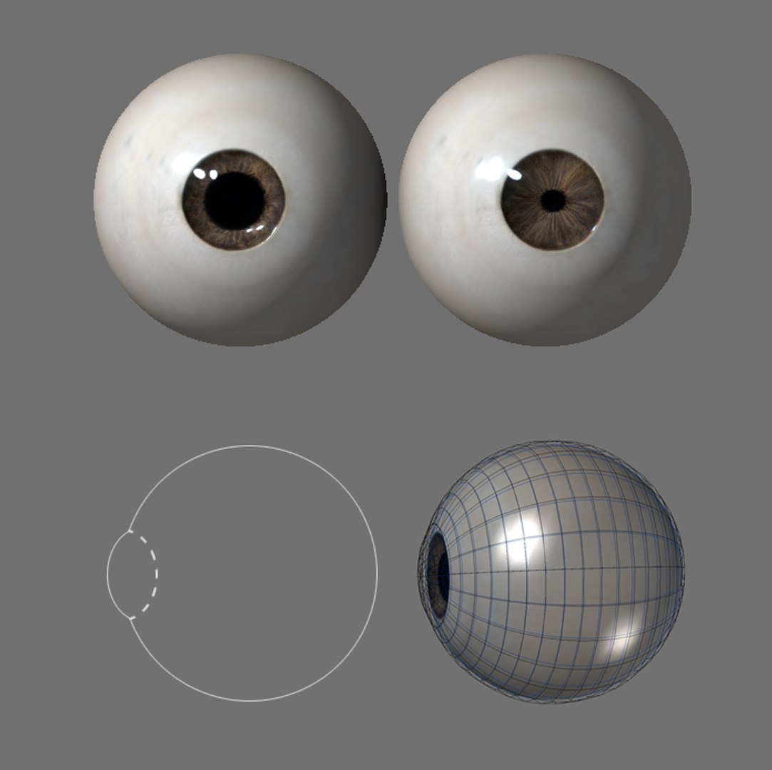 Free Simple Eye Iris 3d Model