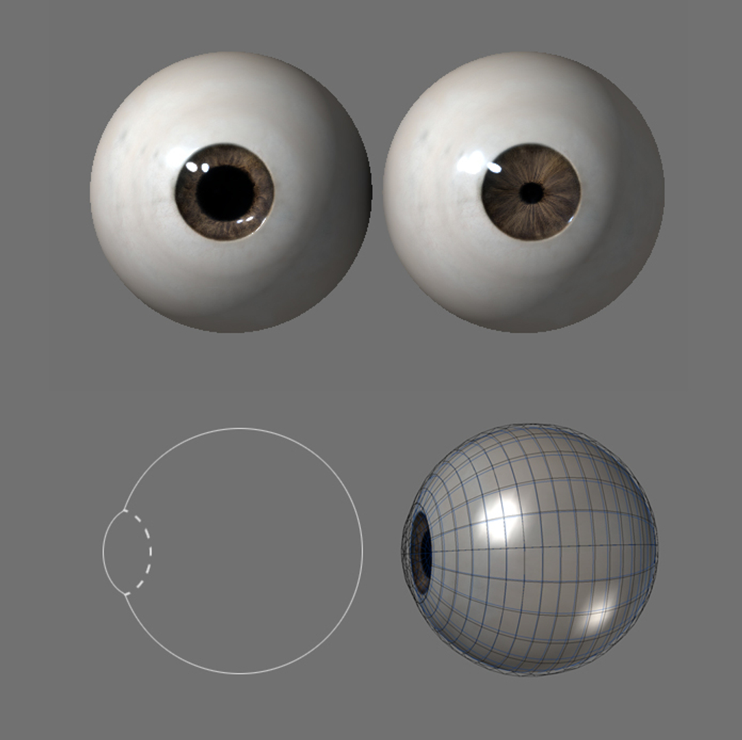 free simple eye iris 3d model