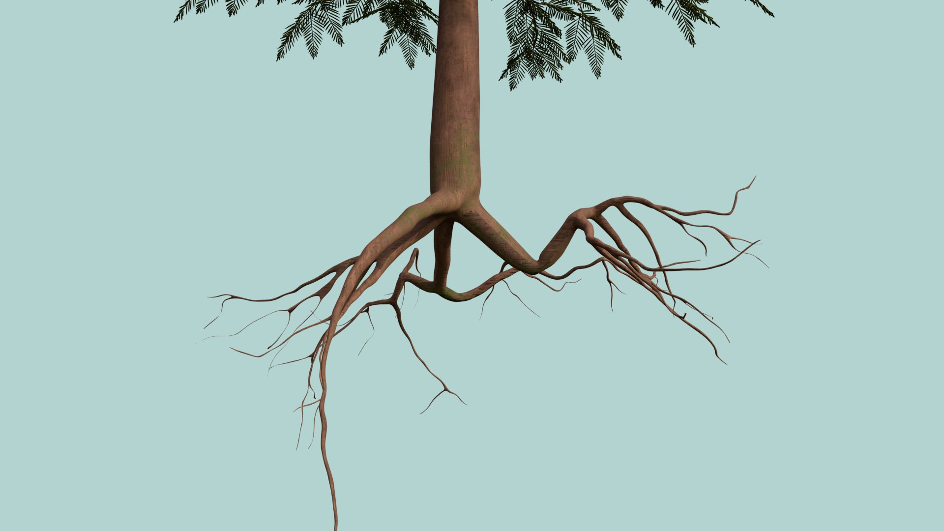 3D Pine Tree model - TurboSquid 1764058