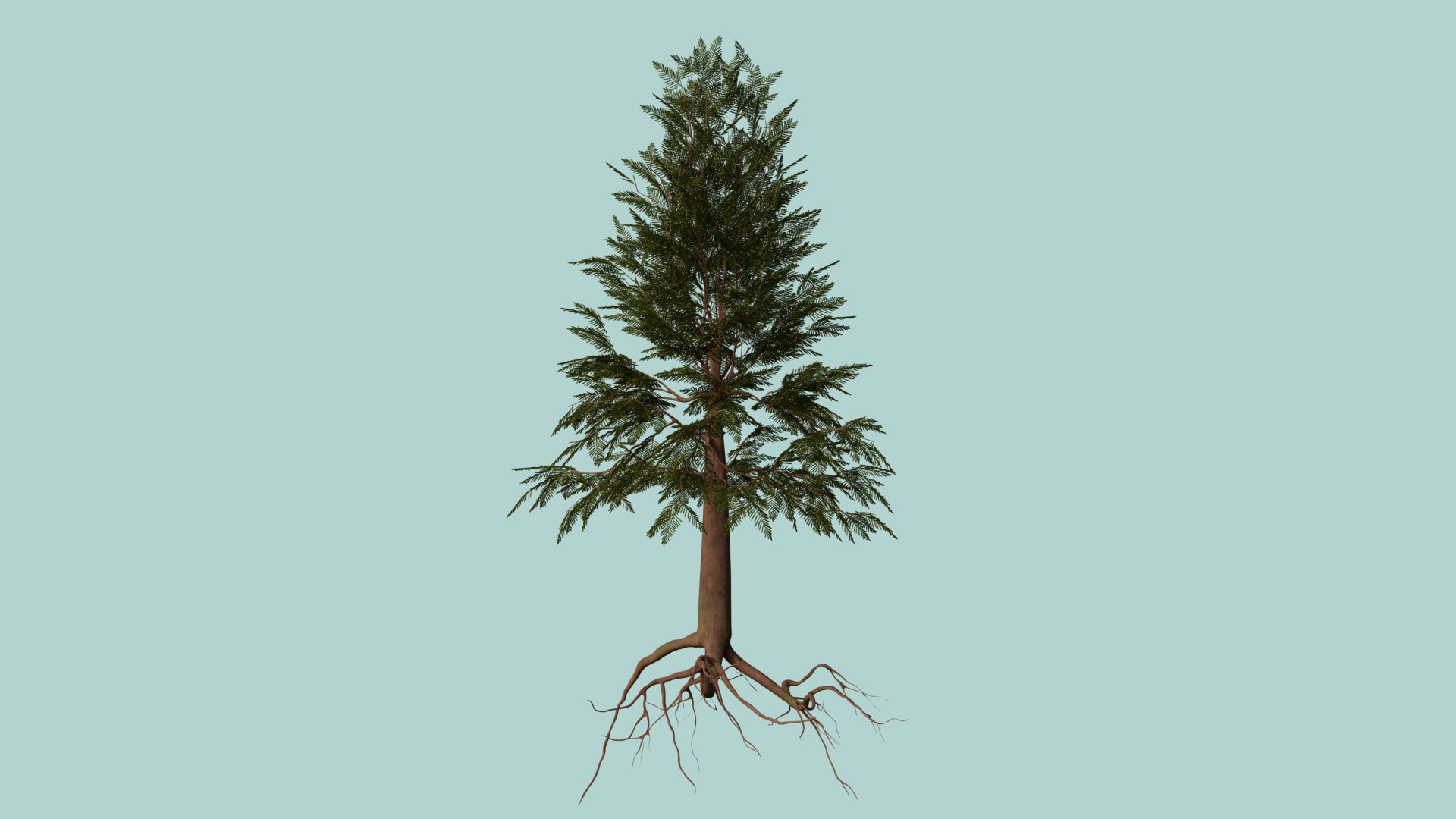 3D Pine Tree model - TurboSquid 1764058