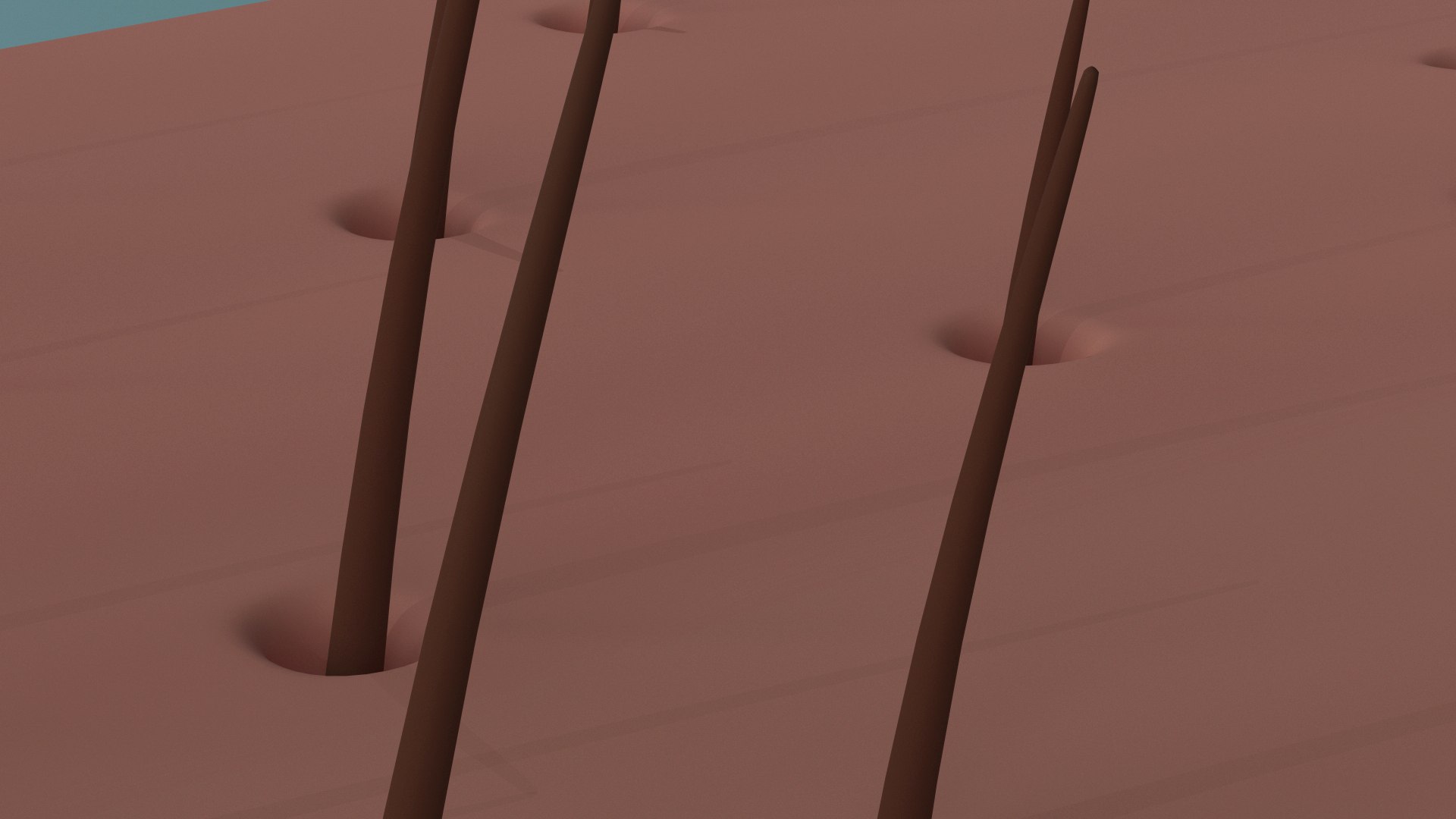 Skin Section Hair Grow ANIMATED Model - TurboSquid 1945239