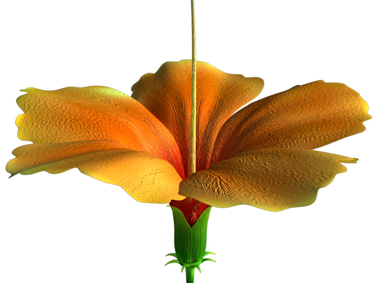 3d Model Of Flor Flower