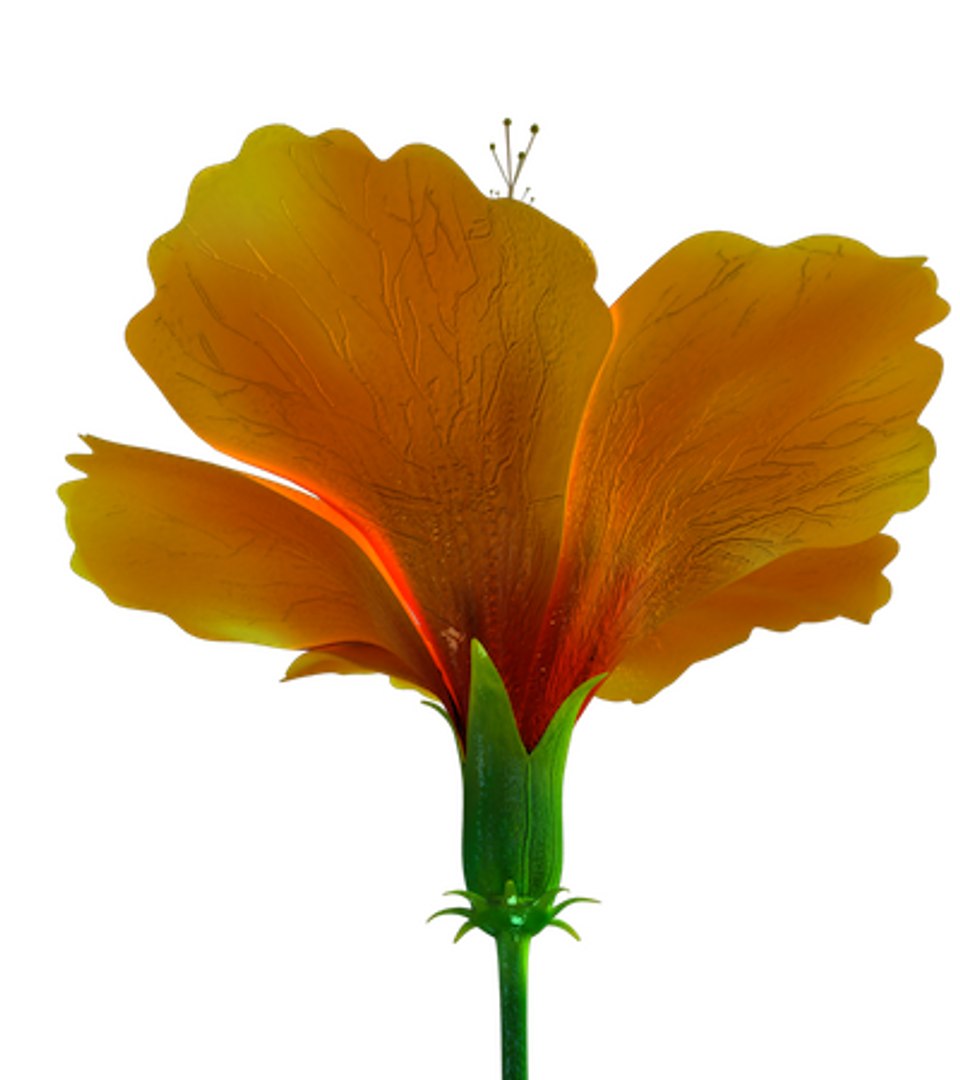 3d Model Of Flor Flower