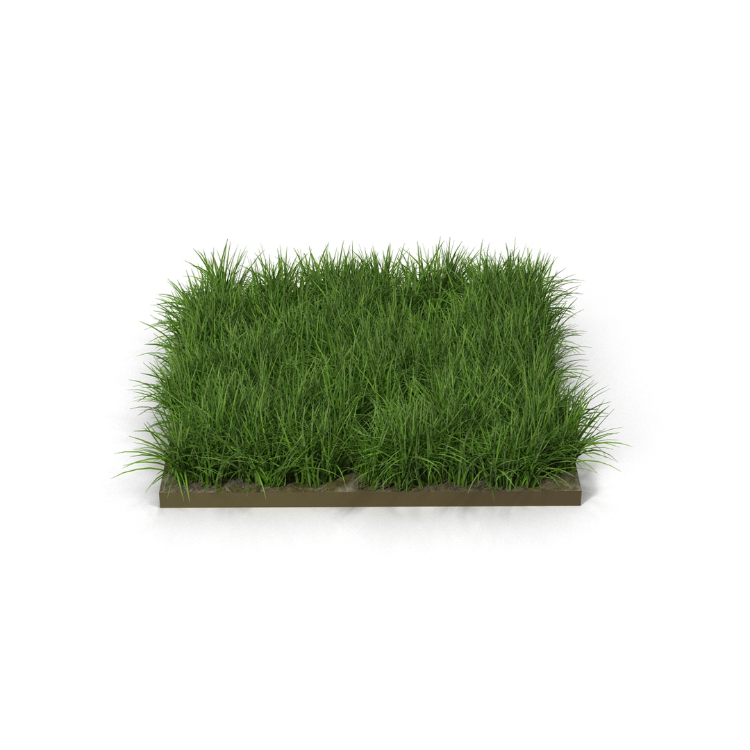 modelo 3d Colección de agricultura de verano - TurboSquid 1564101