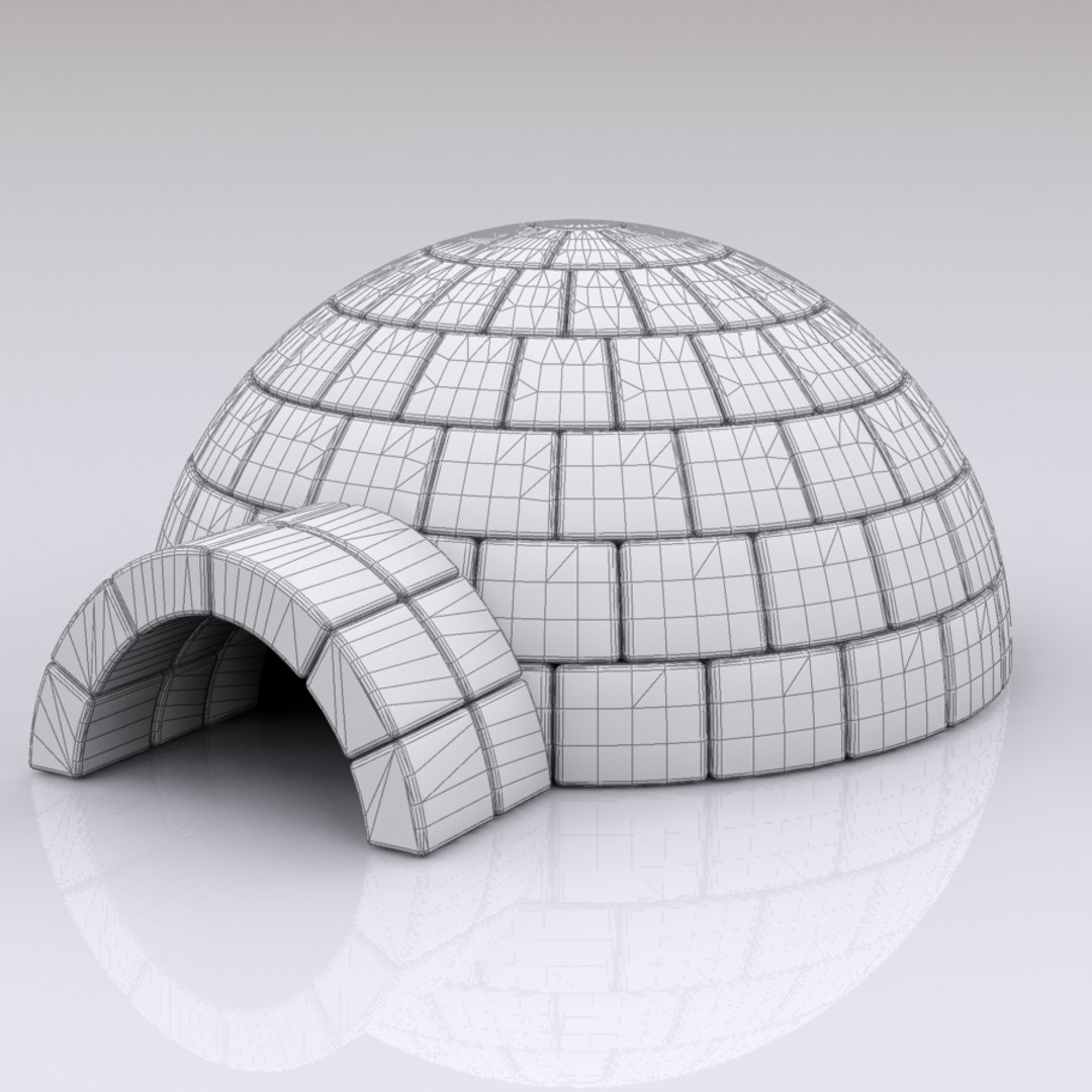 Igloo House Max