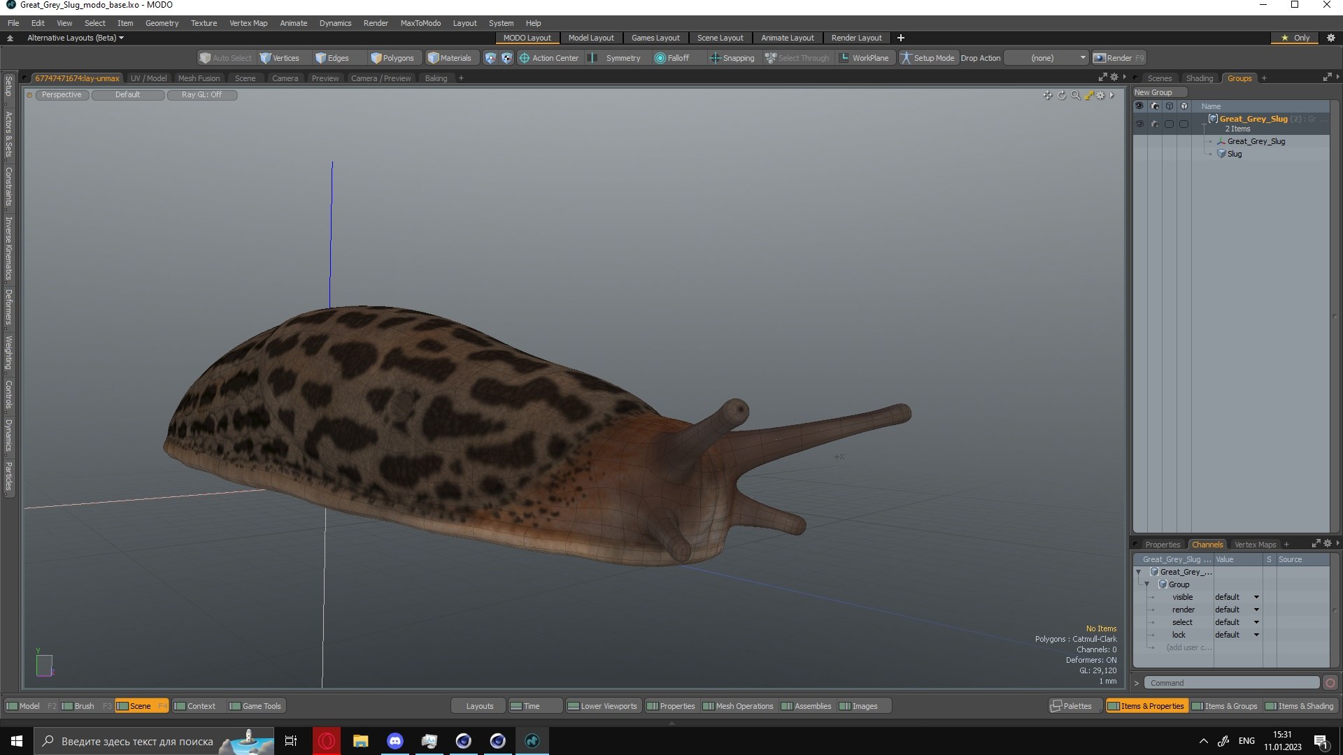 3D Model Great Grey Slug - TurboSquid 2013642