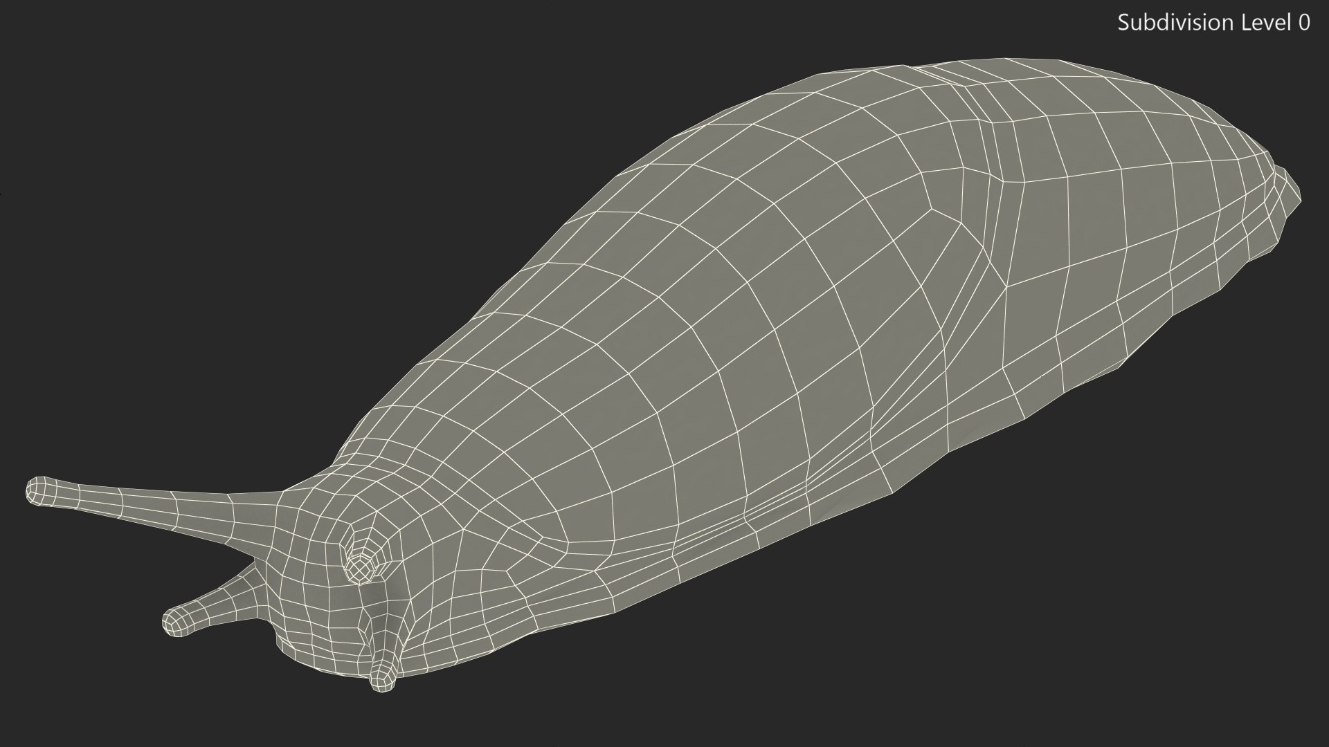 3D Model Great Grey Slug - TurboSquid 2013642