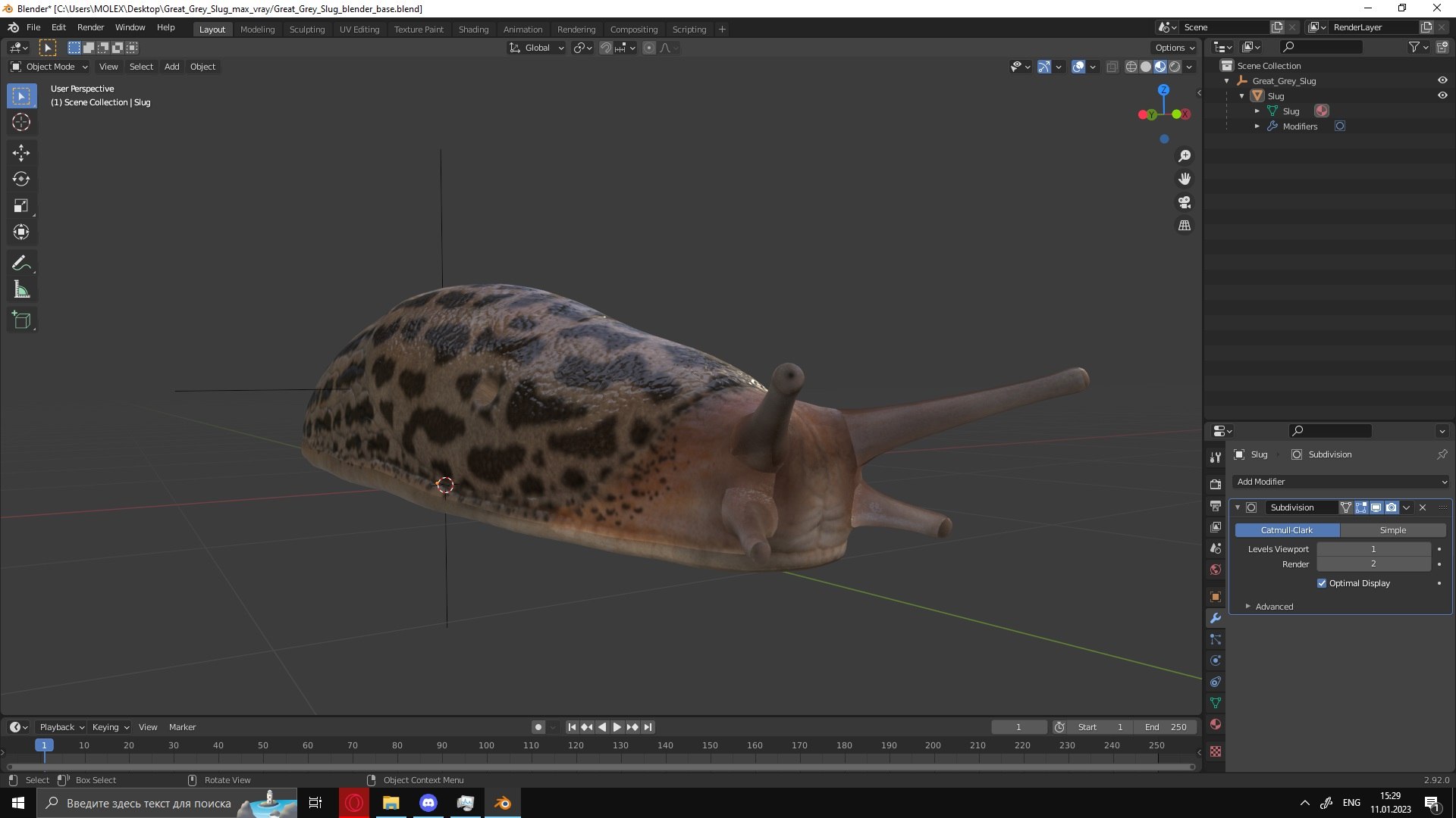 3D Model Great Grey Slug - TurboSquid 2013642