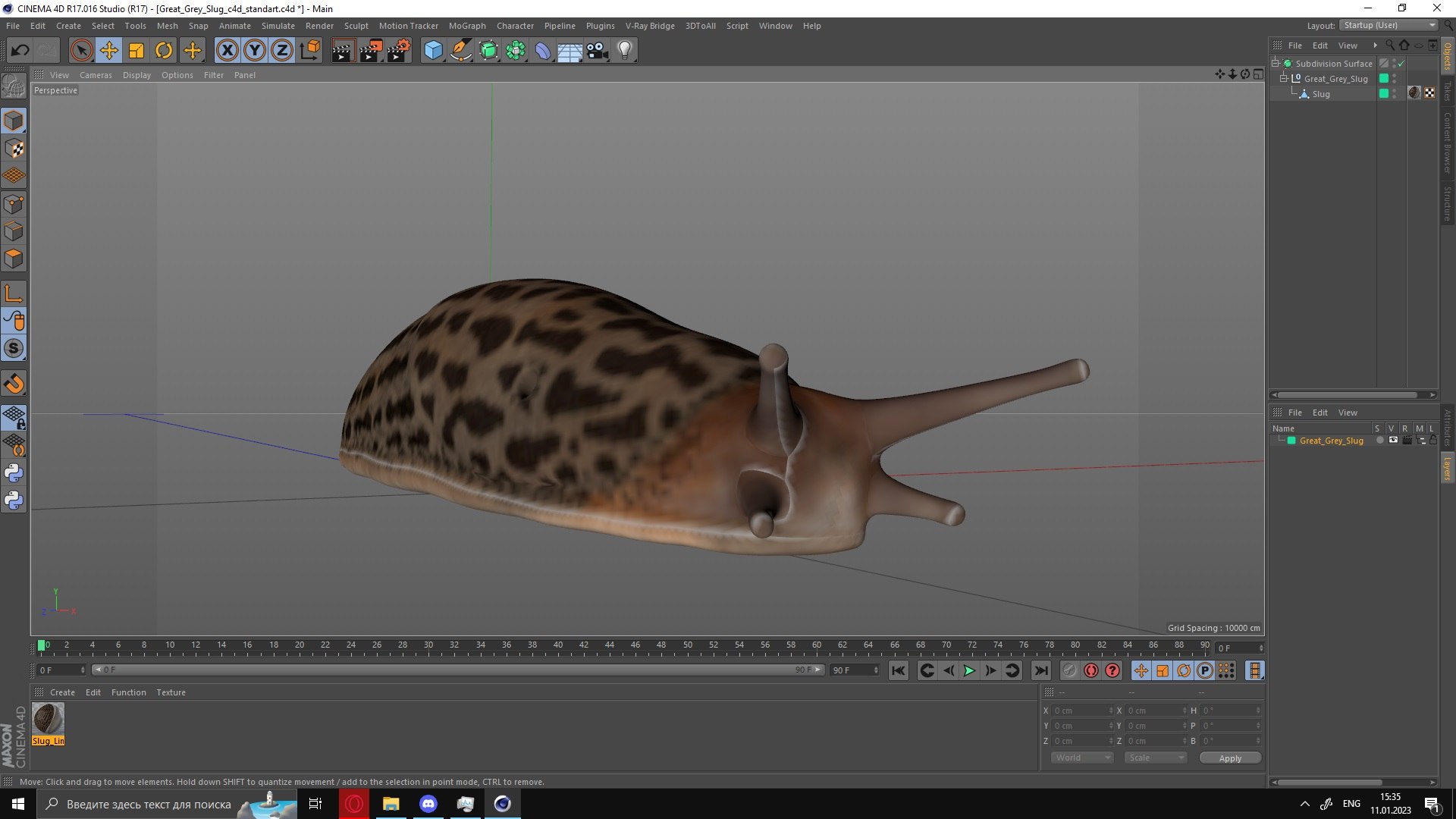 3D Model Great Grey Slug - TurboSquid 2013642