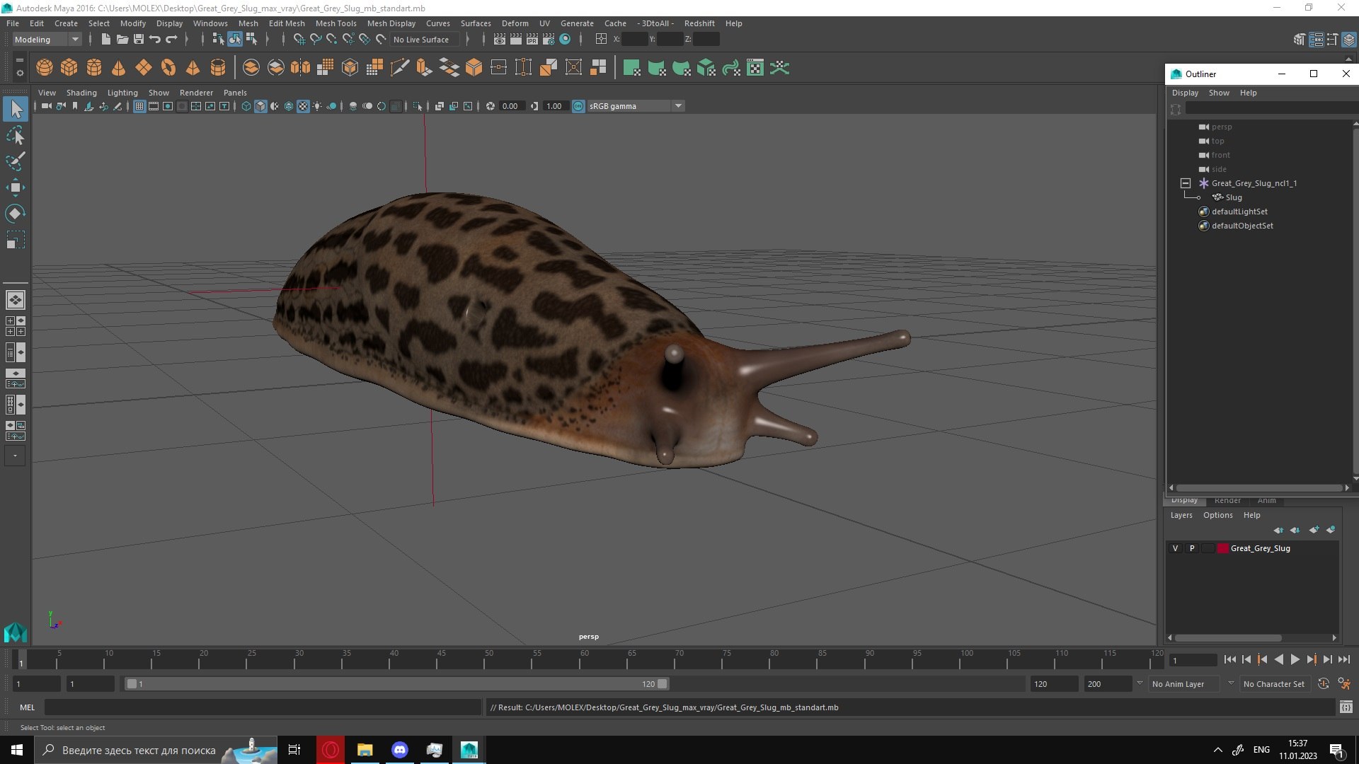3D Model Great Grey Slug - TurboSquid 2013642