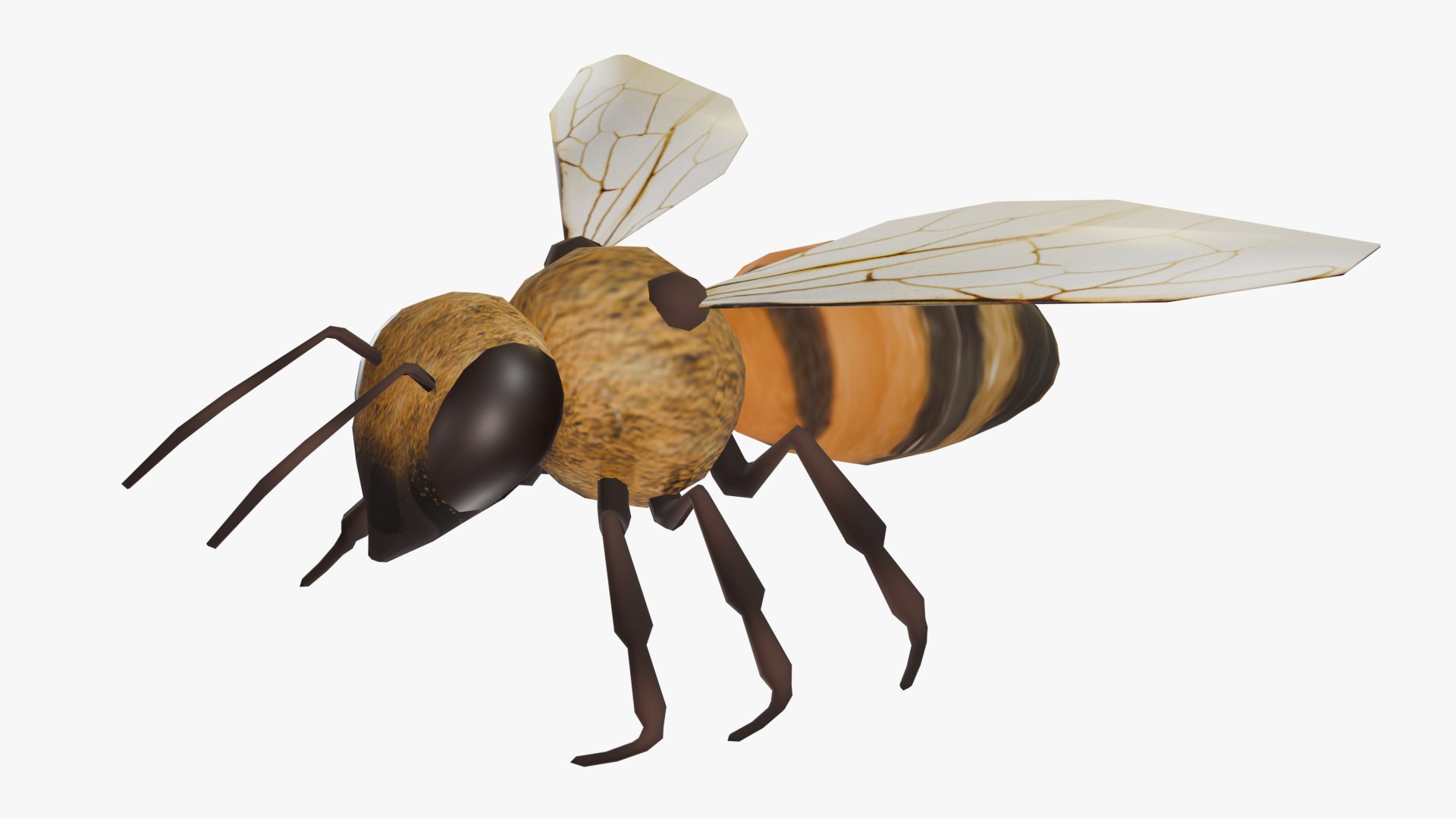 Animated Bee - VR Compatible 3D Model - TurboSquid 2313010