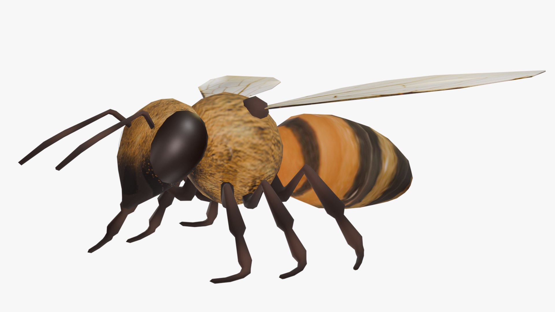 Animated Bee - VR Compatible 3D Model - TurboSquid 2313010