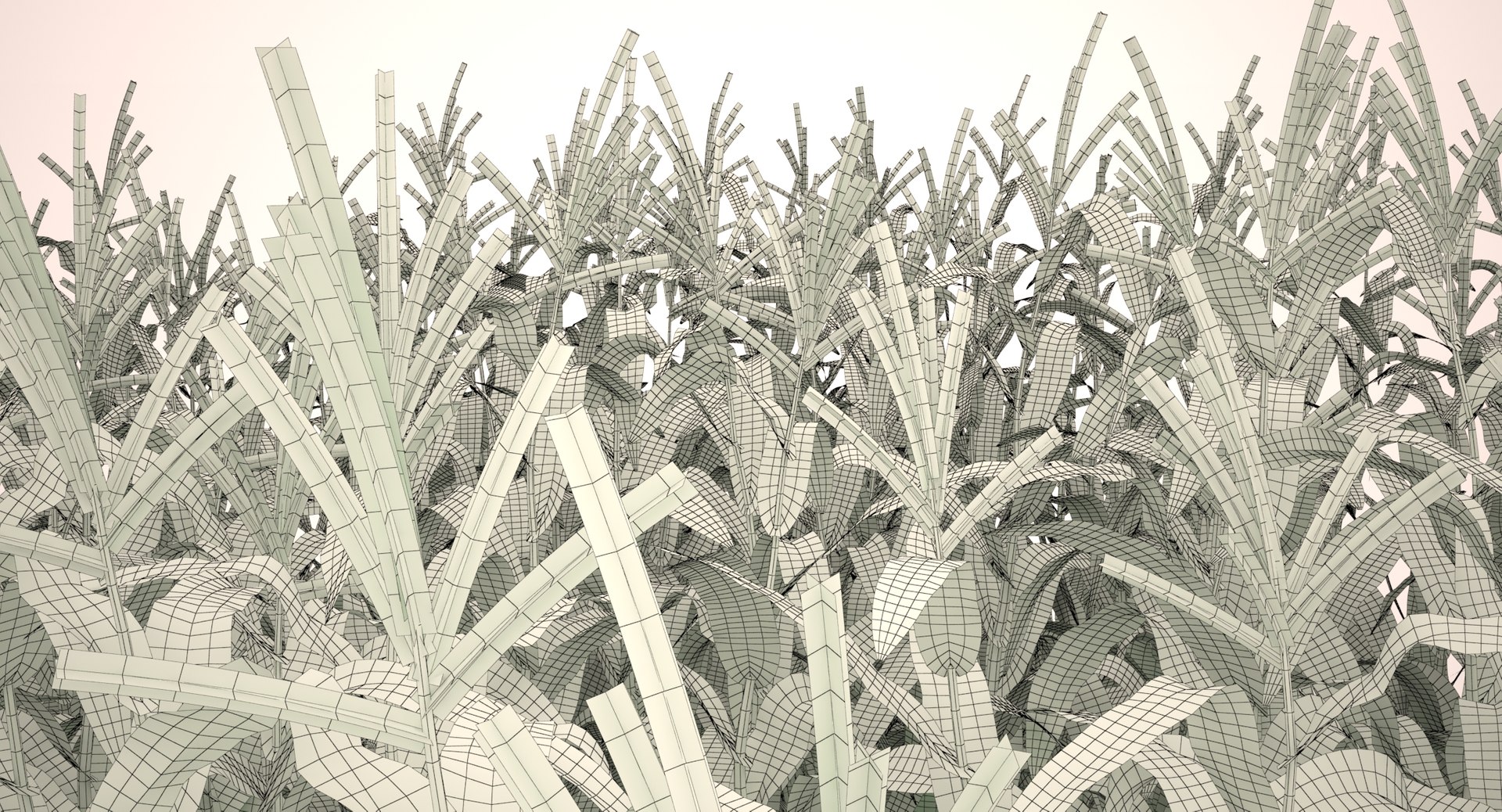 corn field stalks 3d model