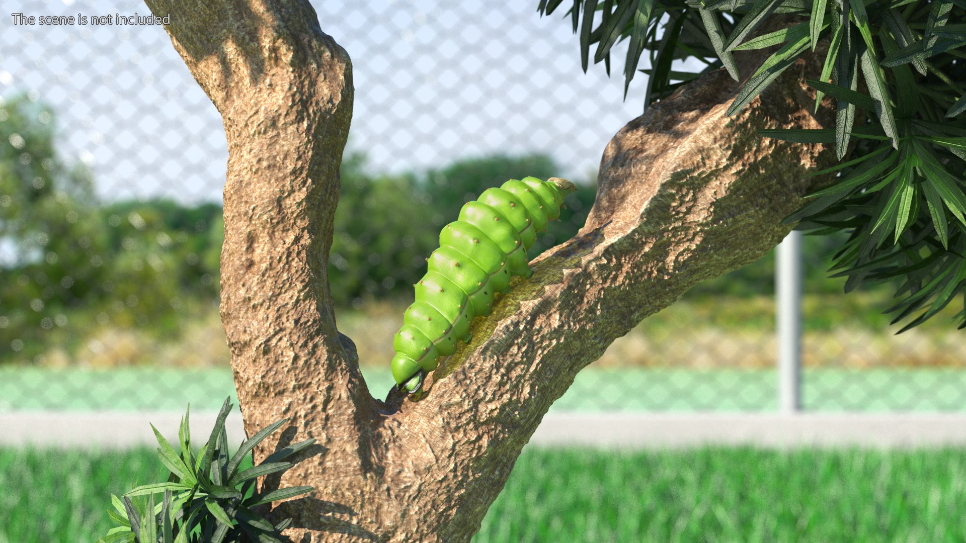 3D Silkworm Green Rigged For Maya - TurboSquid 1906396