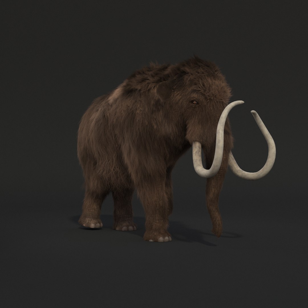 3d Max Realistic Rigged Mammoth