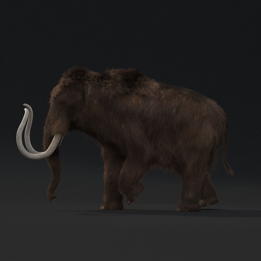 3d Max Realistic Rigged Mammoth