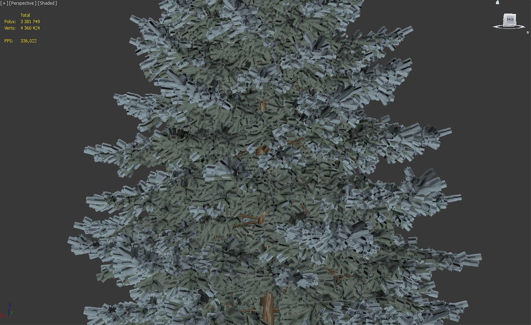 3D Model Spruce Tree Pungens 05 - TurboSquid 1694311