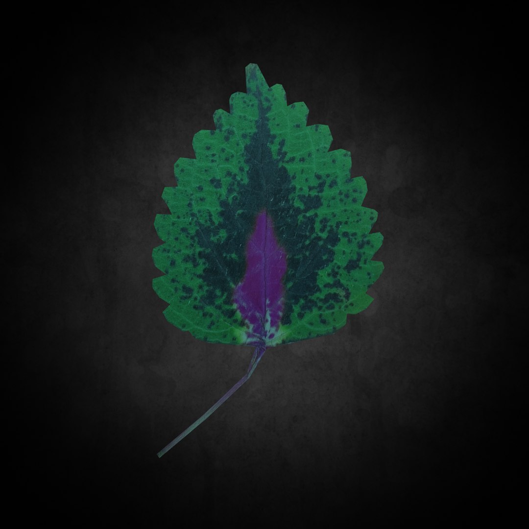 Low Poly Leaf 082 3D Model - TurboSquid 1852546