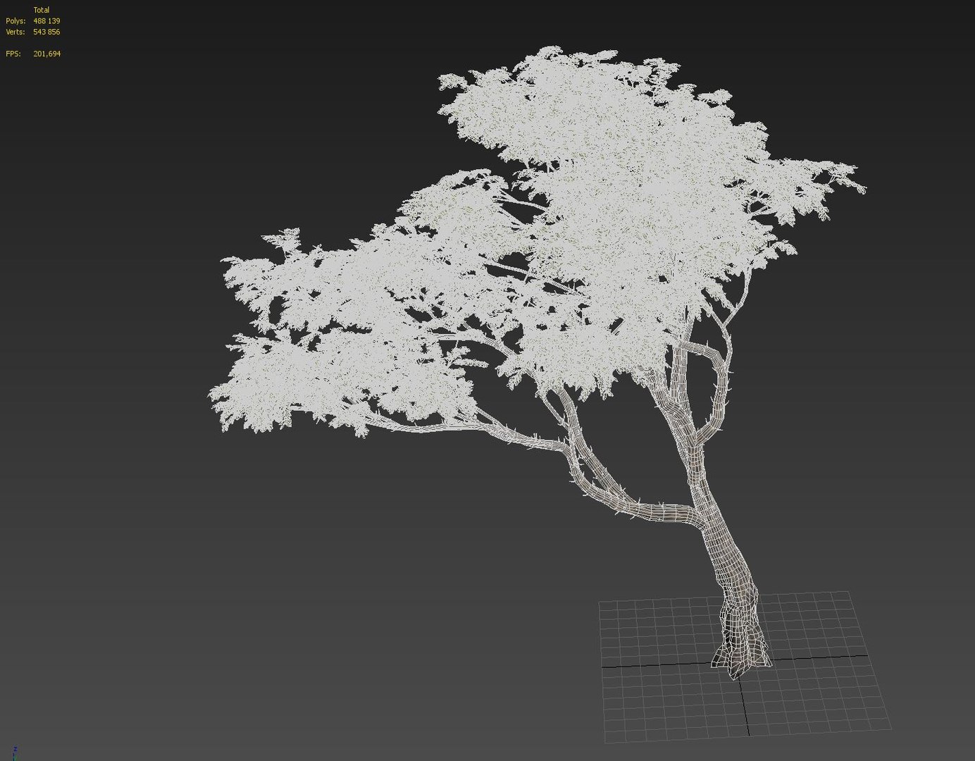 Acacia Tree 3D Model - TurboSquid 1386861