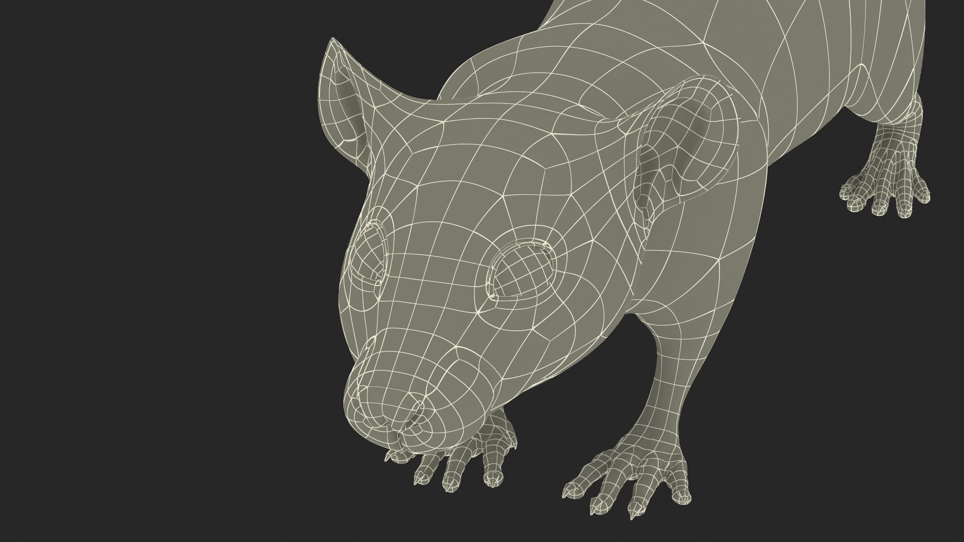 3D Realistic Rat With Fur For Maya - TurboSquid 2352559